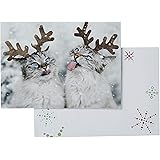 Amazon.com : Avanti Christmas Cards, Holiday Spirit, 10 Count : Blank ...