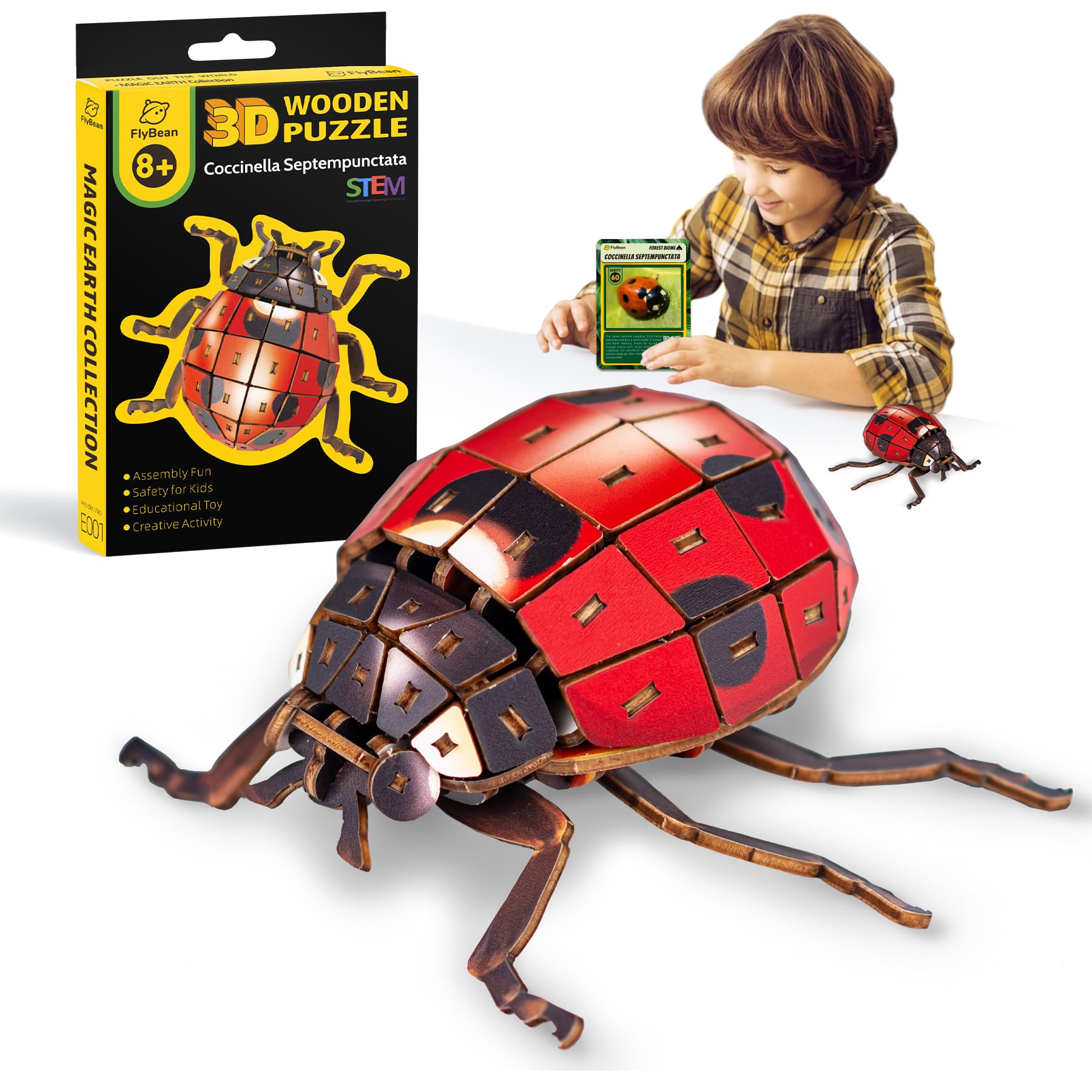Flybean Eco-Friendly STEM Wooden 3D Puzzle for Kids, Realistic Ladybug ...