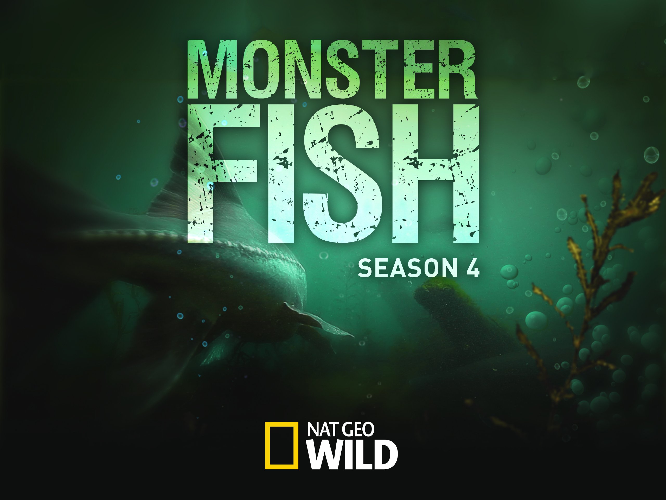Amazon.com: Monster Fish Season 1 : Vicky Matthews, Camille Faylona ...