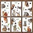 Amazon.com: Woodland Animal Window Decal Funny Squirrel Window Decals ...