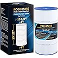 Amazon.com : POOLPURE PA100S Pool Filter Replaces Hayward SwimClear ...