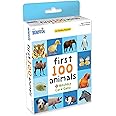 Amazon.com: Briarpatch, First 100 Words Matching, Kids Early Learning ...