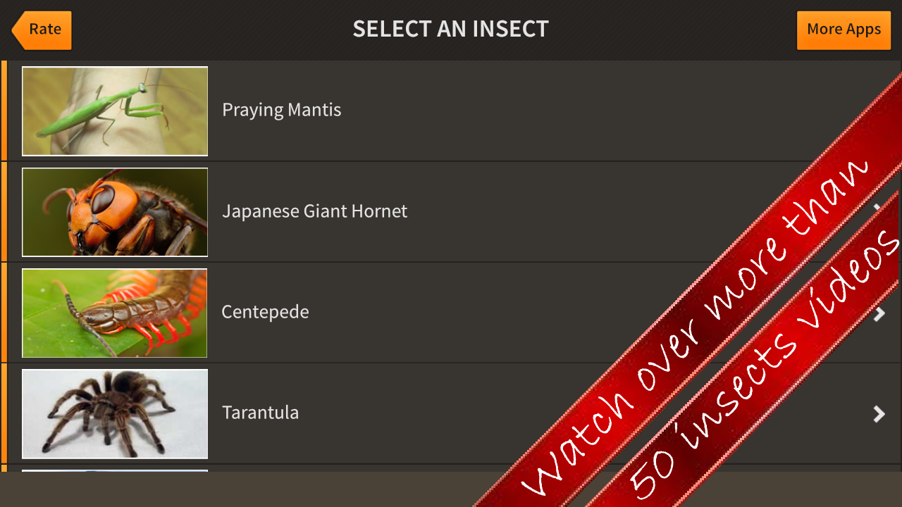 Insect At War:Amazon.com:Appstore for Android