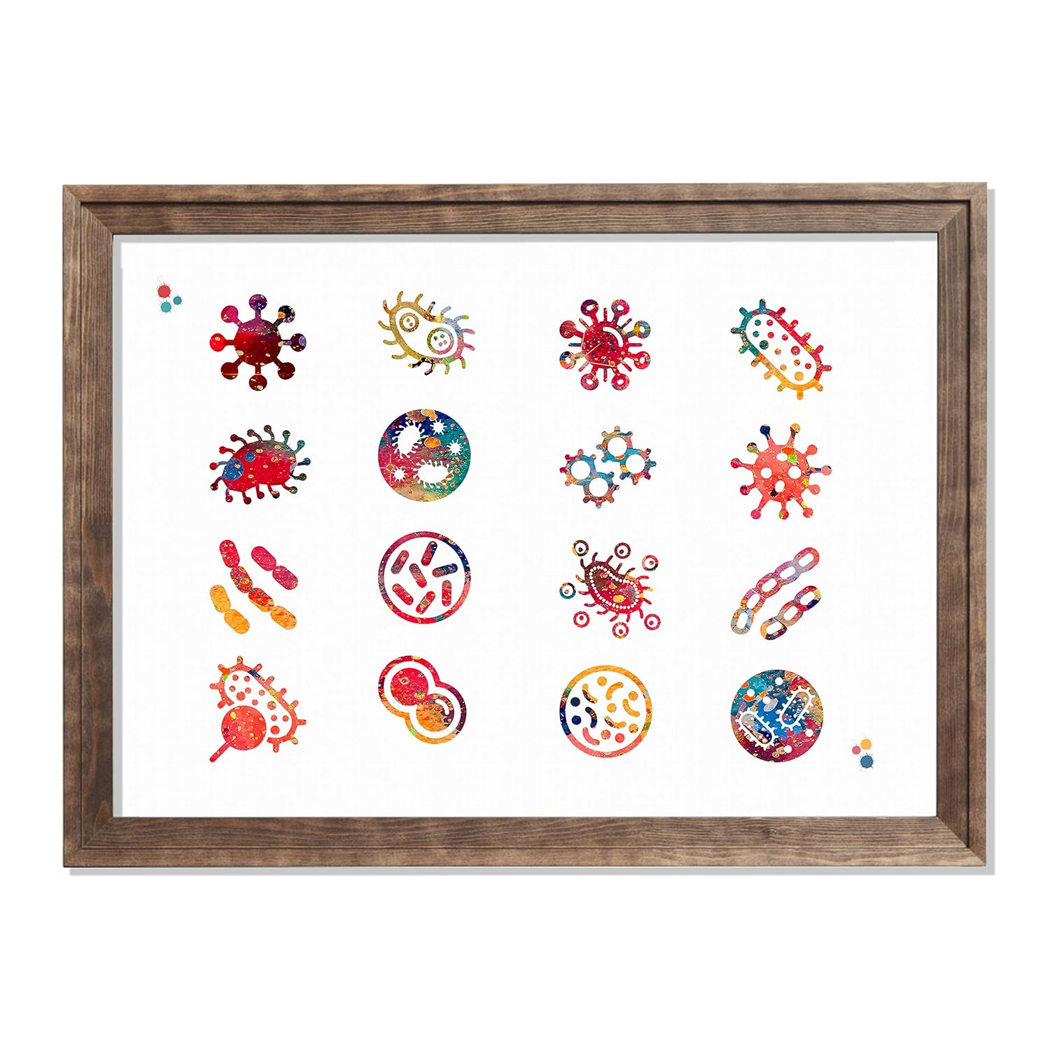 Amazon.com: Bacterias Watercolor Poster Bacteriophage Art Print ...