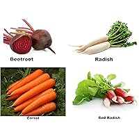 Amazon.in Bestsellers: The most popular items in Vegetable Seeds