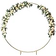 Amazon.com : Round Metal Arch – Balloon Gold Circle Arch for Party ...