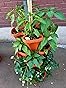 Amazon.com : Mr. Stacky 5-Tier Strawberry Planter Pot, 5 Pots : Patio ...