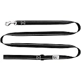 Amazon.com: RC Pets 3/4" x 6 ft Primary Collection Dog Leash, Red ...