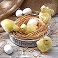 Amazon.com: 9 Pcs Spring Easter Chicken Decoration Set 4 Pcs Realistic ...
