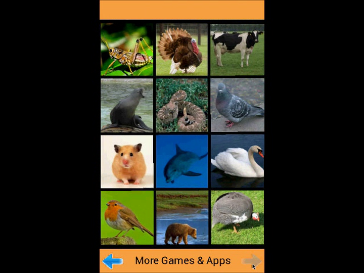 Zoo Sound Board:Amazon.de:Appstore for Android