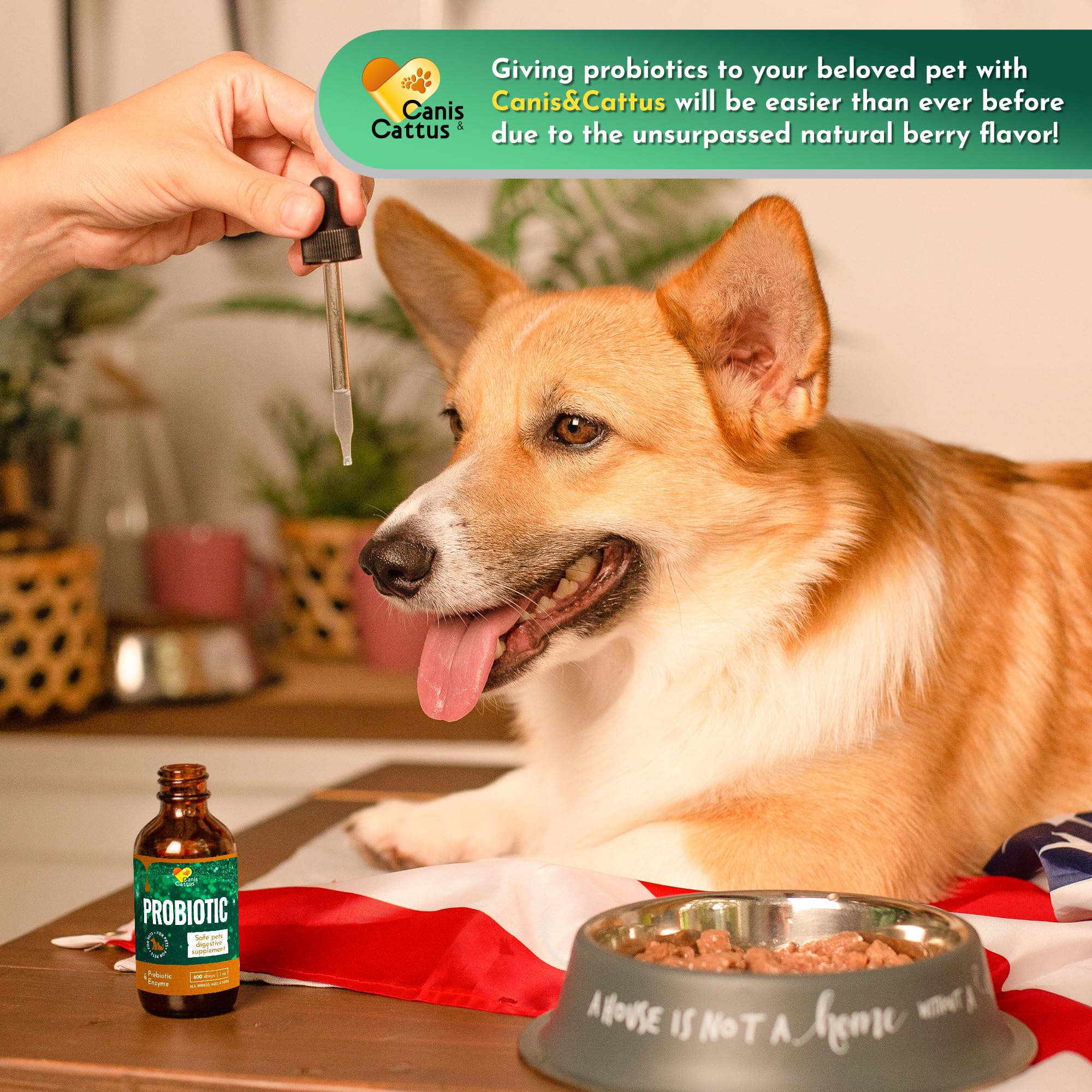 Mua Canis&Cattus Probiotics for Cats – Liquid Cat Probiotics with ...