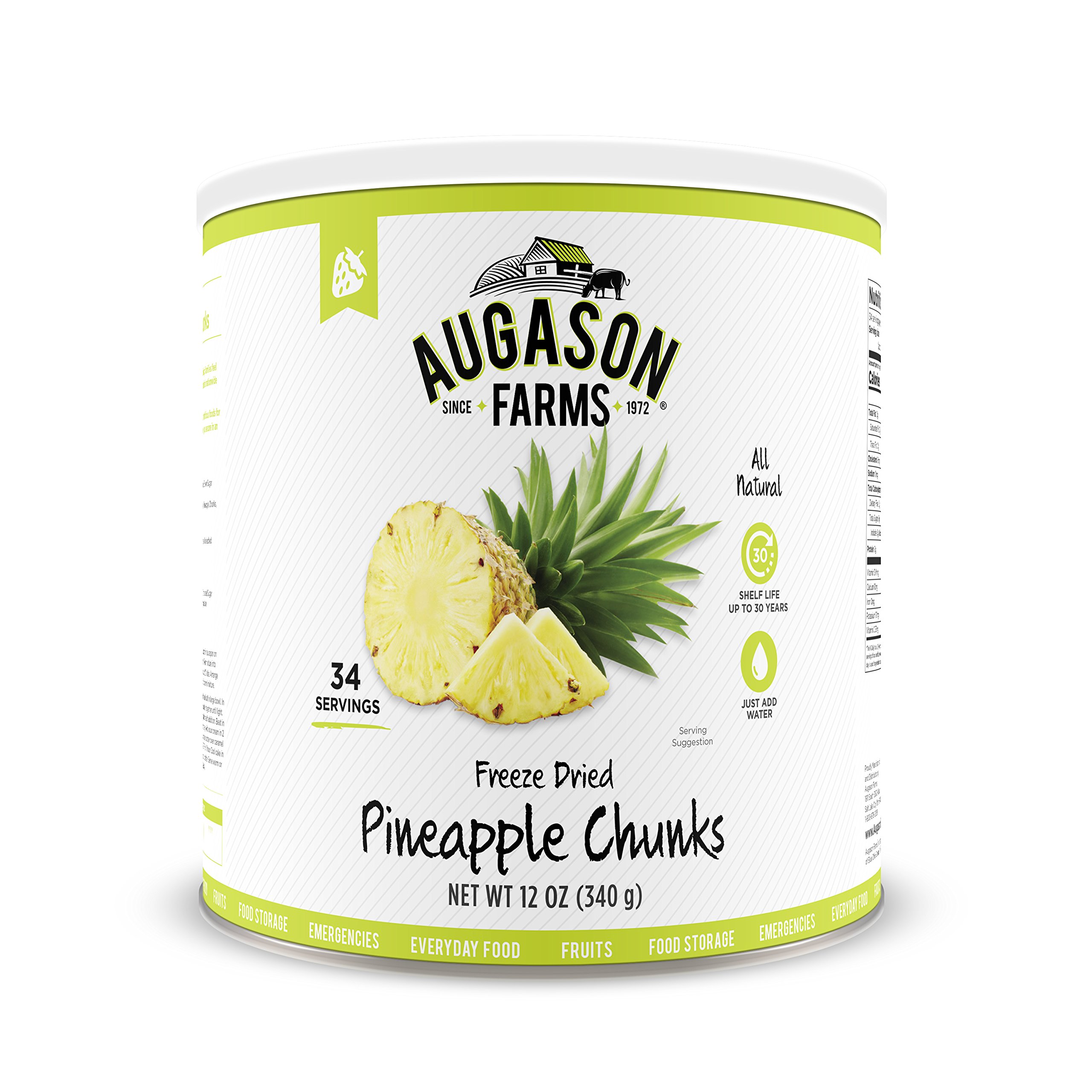 Mua Augason Farms Freeze Dried Pineapple Chunks 12 oz trên Amazon Mỹ ...