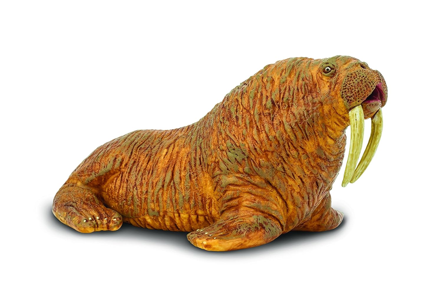 Safari 248729 Walrus Animal Figure: Amazon.co.uk: Toys & Games