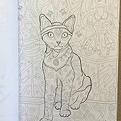 Amazon.com: Colorful Cats: Stress Relieving Cat Designs (Creative Cats ...