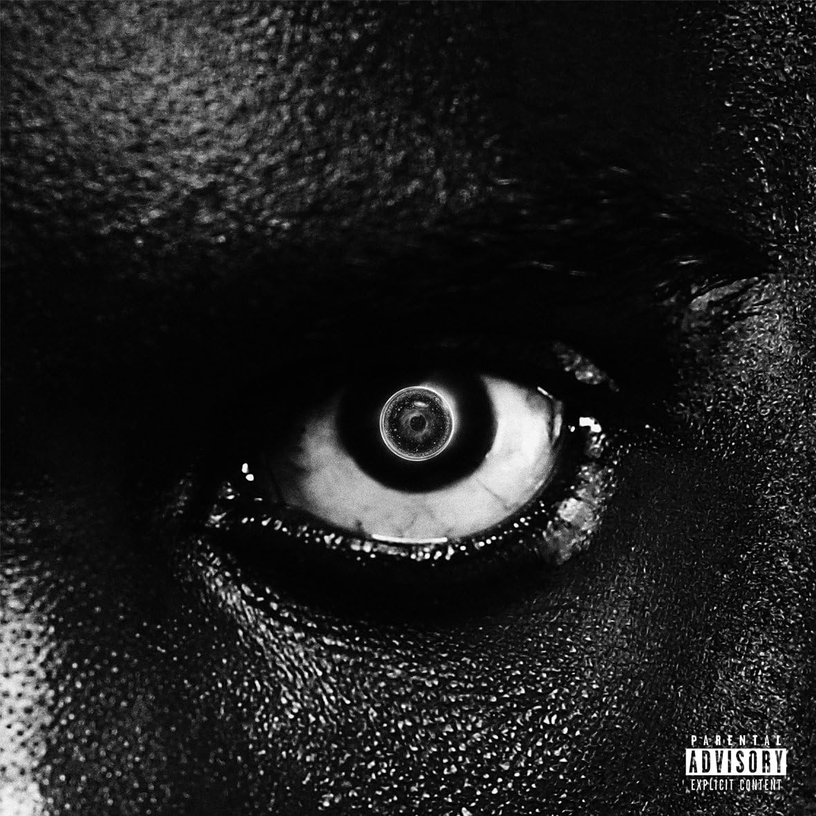 Lithopedion (2LP Vinyl): Damso, Damso: Amazon.ca: Music