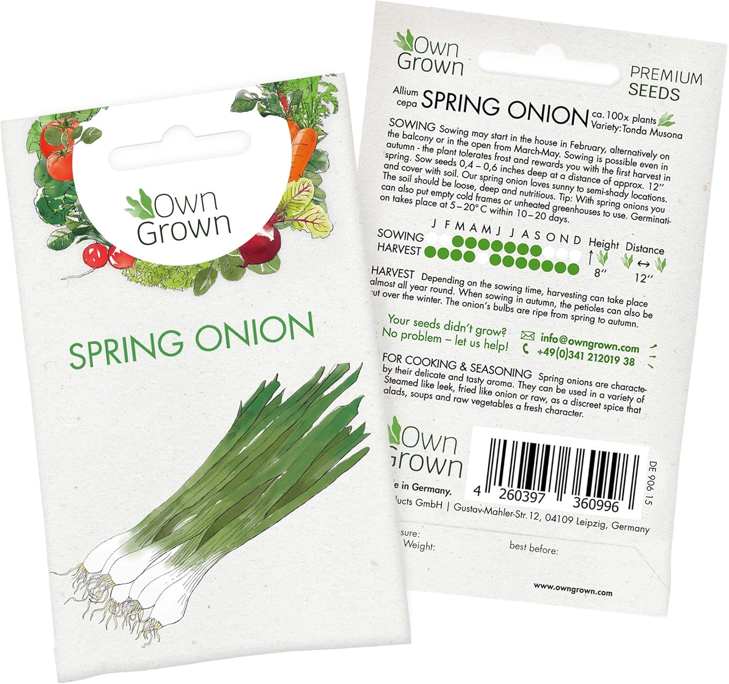 Spring Onion Seeds, Scallion Winter Seeds for Cultivation, Premium ...
