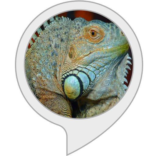 Amazon.com: Animal Facts: Alexa Skills