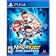 Amazon.com: Ninja Kidz Time Masters - PlayStation 4 : Everything Else