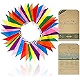 Amazon.com: Premium Reusable Pennant Banner Flags - Multicolor Pennant ...