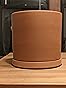Amazon.com : Large 10 Inch Terracotta Plant Pot with Drainage Hole and ...