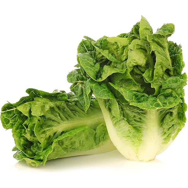 LAITUE ROMAINE MINIATURE(La S LITTLE GEM)K20 LETTUCE SEEDS C $0.99 ...
