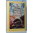 The Lone Ranger and Tonto Fistfight in Heaven: Alexie, Sherman ...