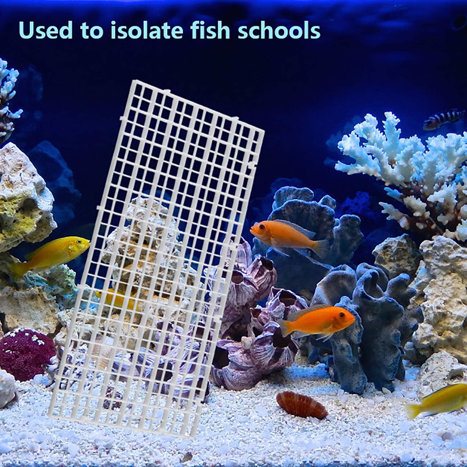 LOCOLO 4 PCS Fish Tank Divider Plastic Aquarium Divider Panel Separator ...