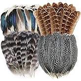 Amazon.com: Natural Turkey Spotted Feathers, 30Pcs Pheasant Feathers ...
