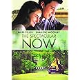 Amazon.com: The Spectacular Now : Miles Teller, Shailene Woodley, Brie ...