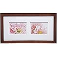 Amazon.com - Gallery Solutions Wall Mount Double Mat Picture Frame, 2-5 ...