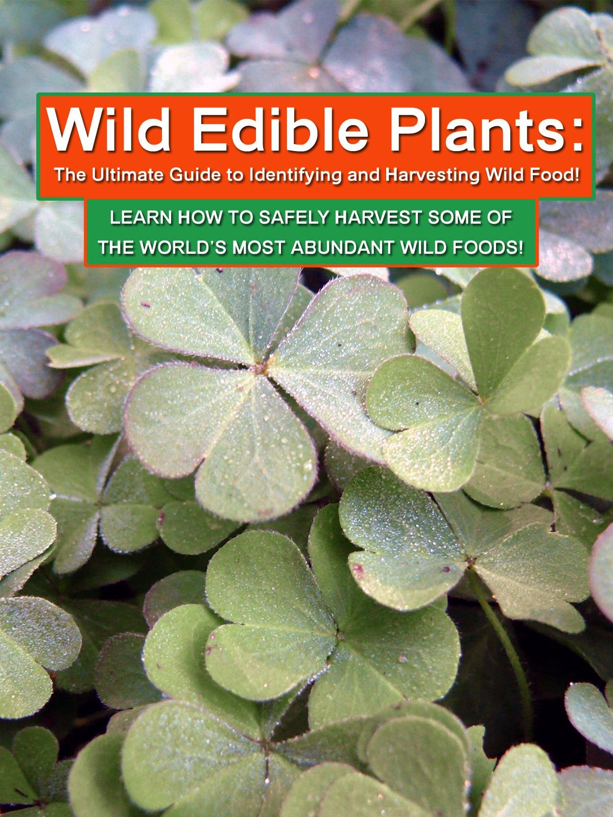 Watch Wild Edible Plants: The Ultimate Guide to Identifying and ...