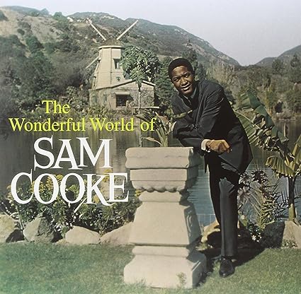 The Wonderful World Of Sam Cooke [VINYL]: Amazon.co.uk: Music