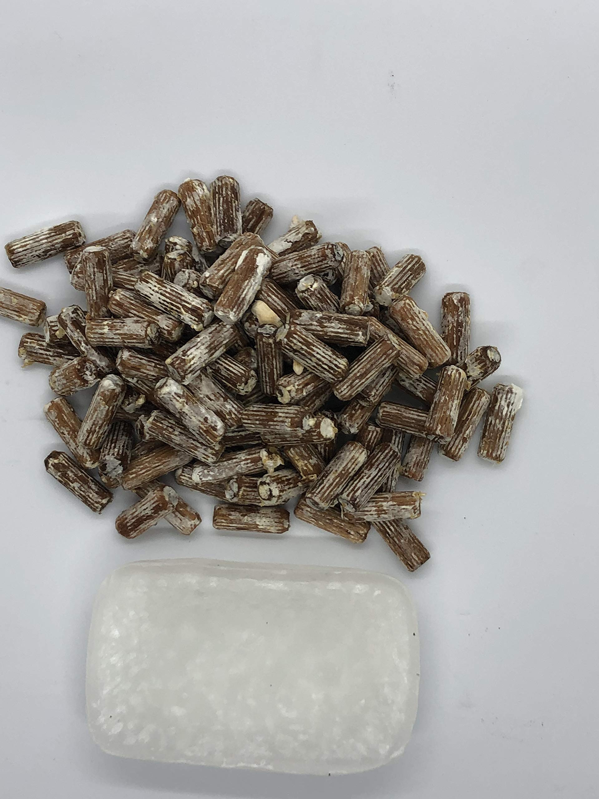 Spawn and Wax Combo - Oyster Mushrooms Mushroom Mycelium Plug Spawn ...