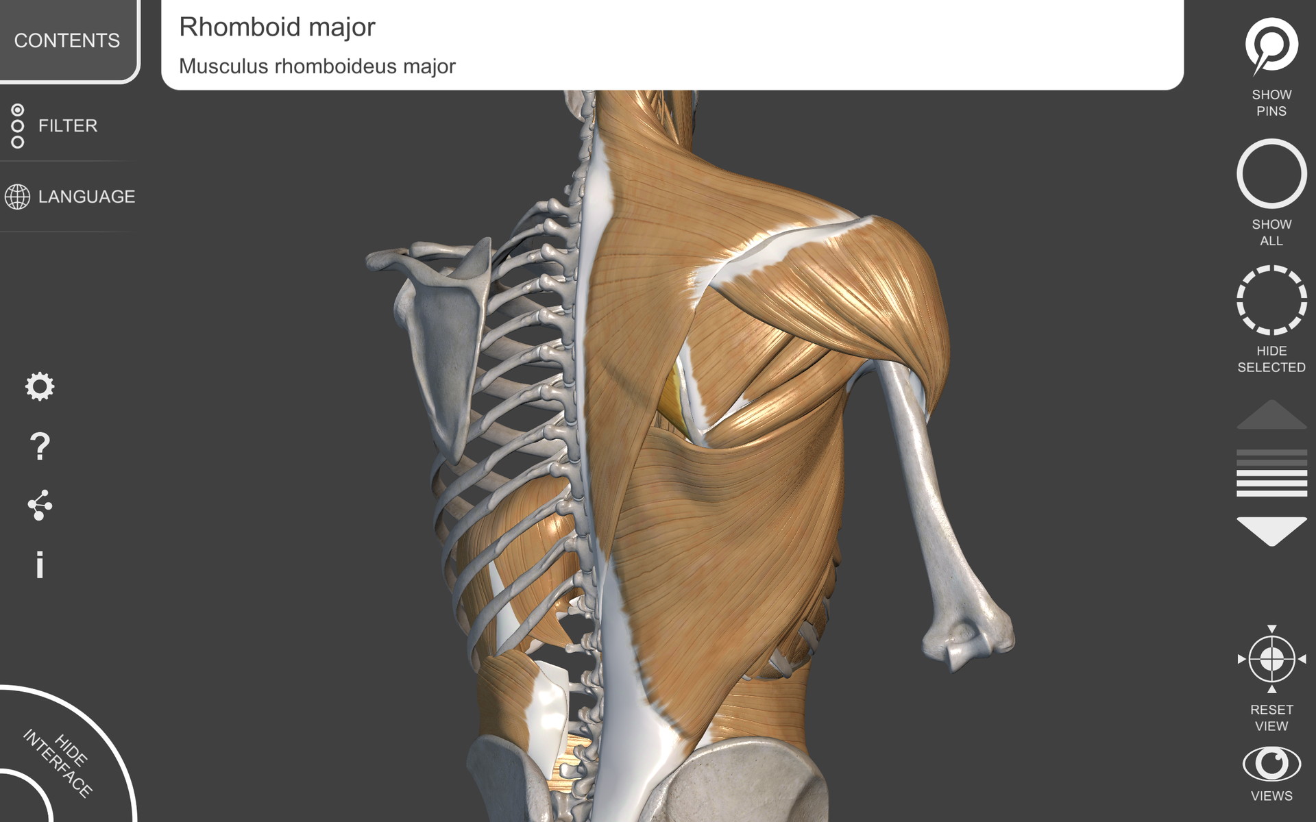 Amazon.com: 3D Anatomy for the Artist: Appstore for Android