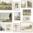 Amazon.com: Bzstyleart Vintage Botanical Wall Art Set of 12, Large ...