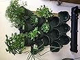 Wonderwall Self Watering Vertical 3 Pocket Garden Wall Planter Outdoor ...