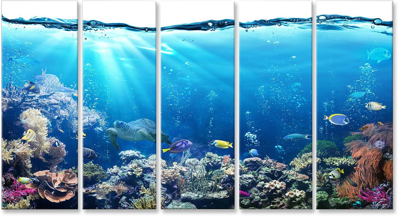 islandburner Bild Bilder auf Leinwand Unterwasser-Szene mit Riff und tropischen Fischen Wandbild ...