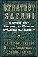 Strategy Safari: A Guided Tour Through the Wilds of Strategic ...