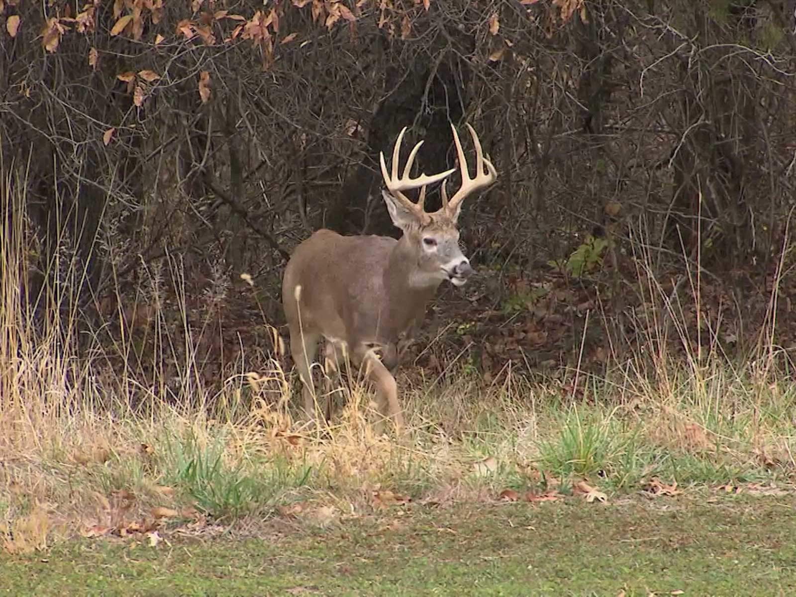 Watch Hunt Masters - Season 2 | Prime Video