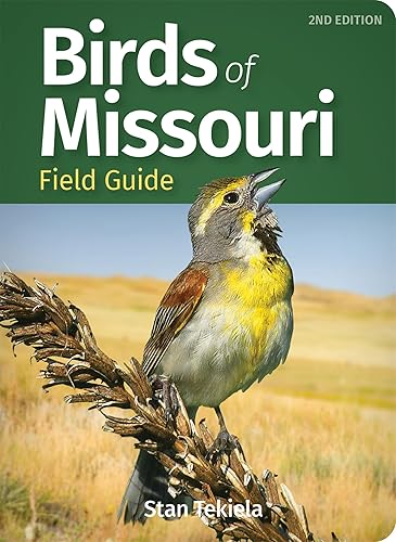 Birds of Missouri Field Guide (Bird Identification Guides) in Oman ...