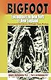 Bigfoot Encounters in New York: Robert E Bartholomew, Paul B Bartholomew, Christopher L Murphy ...