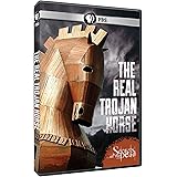 Amazon.com: Secrets of the Dead: Slave Ship Mutiny: ., Nic Young, Joe ...