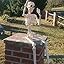 Amazon.com: Crazy Bonez Posable Skeleton Decoration, 36": Toys & Games