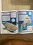 Sharks and Other Deadly Ocean Creatures Visual Encyclopedia (DK ...
