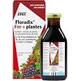 Amazon.com: Floradix Liquid Iron and Vitamin Formula 250ml : Health ...