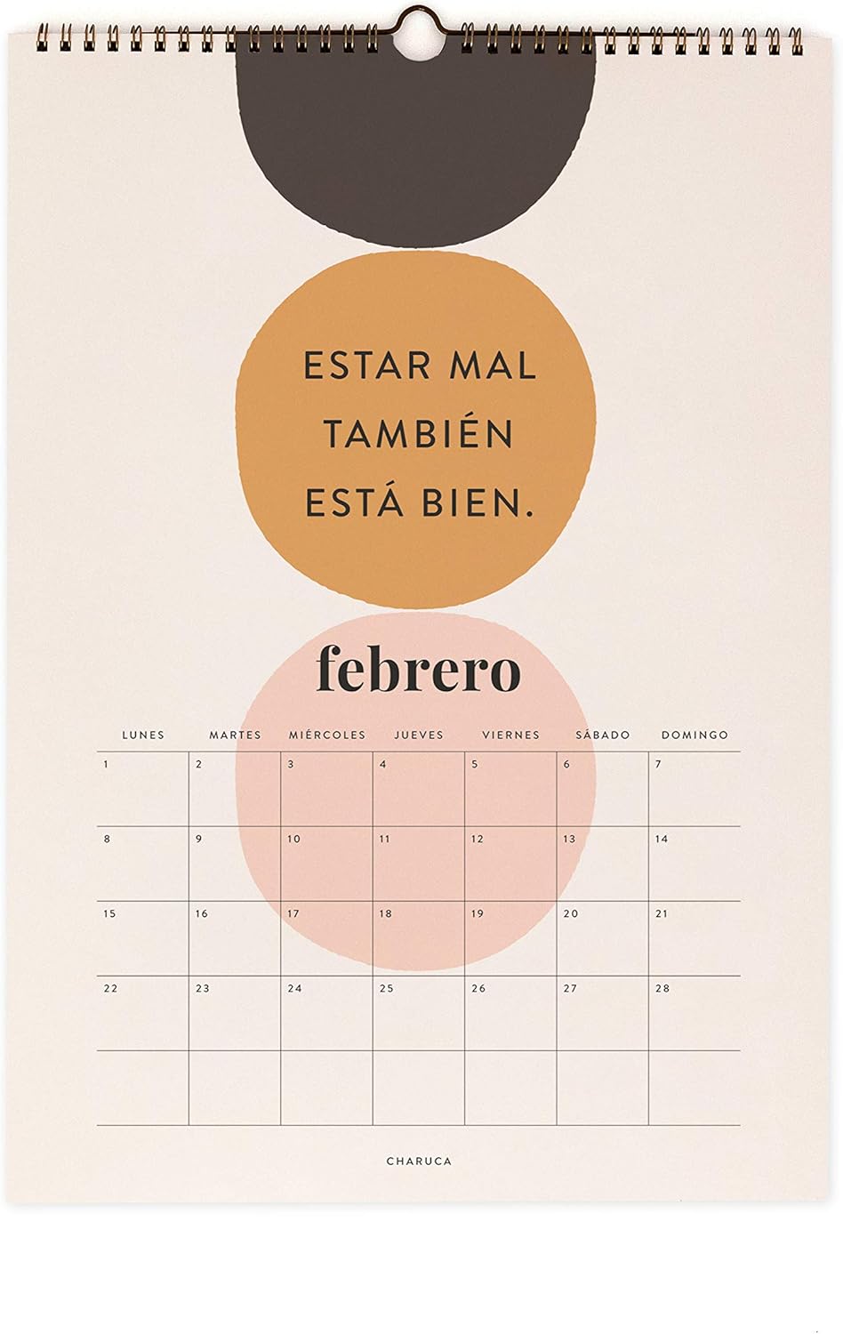 Charuca Calendar 2021 Wall – BigaMart