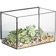 Amazon.com: NCYP Small Rectangle Glass Terrarium Planter with Lid, 6.7 ...