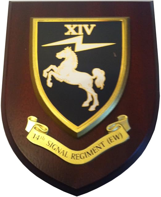 14th Signal Regiment EW Military Wall Plaque: Amazon.co.uk: Sports ...