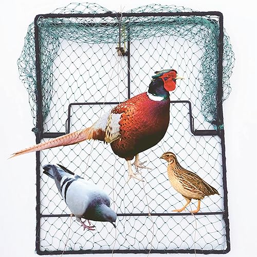 DSQSTMR Pigeon Bird Trap Quail Sparrow Spring Starling Catching Net ...