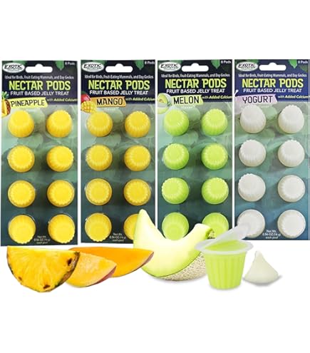 Sugar Glider Food Fresh Feeders (Insect Variety) - All Natural High ...